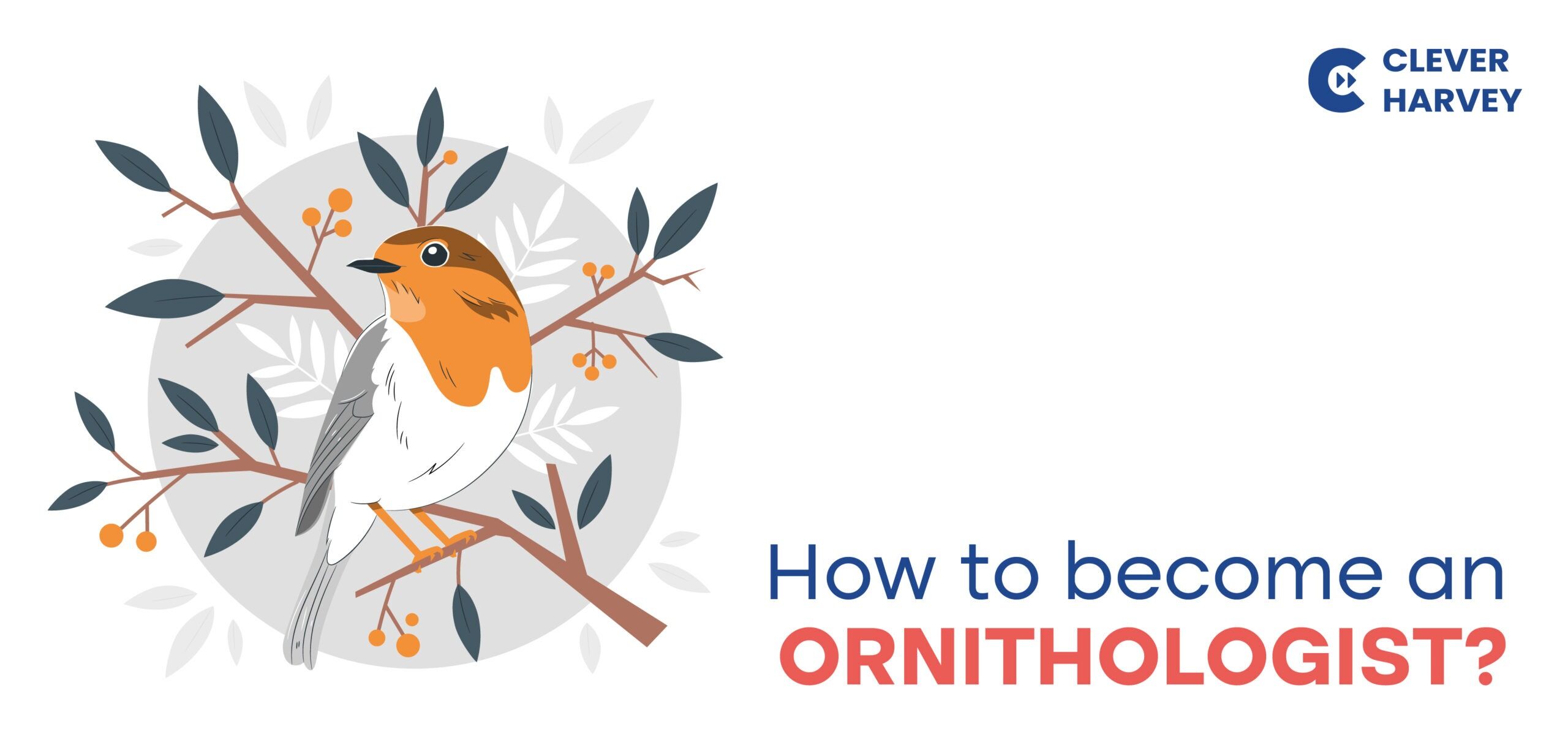 How to become an Ornithologist in India - A Detailed Guide
