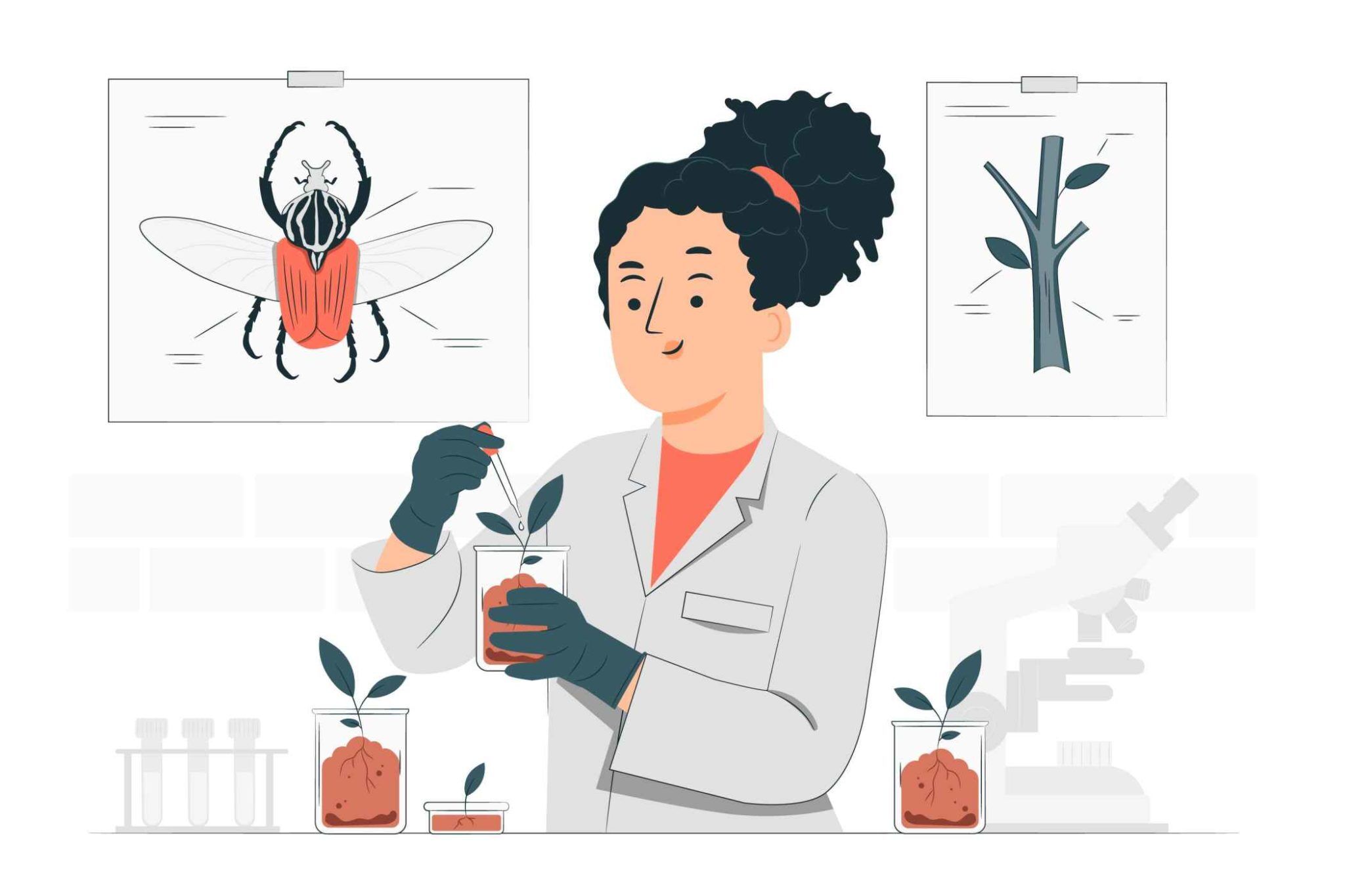 How to become a Zoologist - A Complete Guide