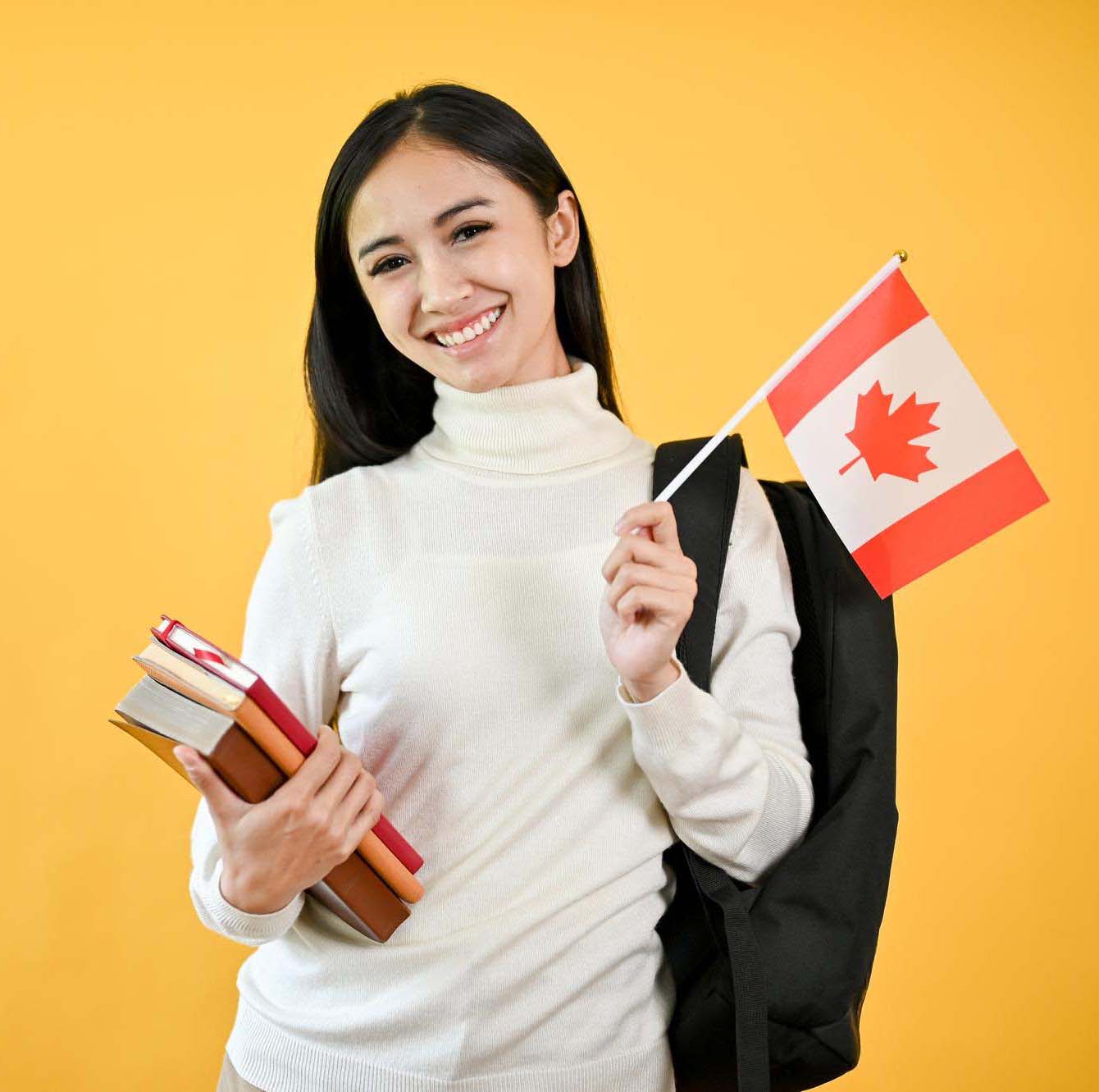 Clever Harvey | Clever Harvey Catapult