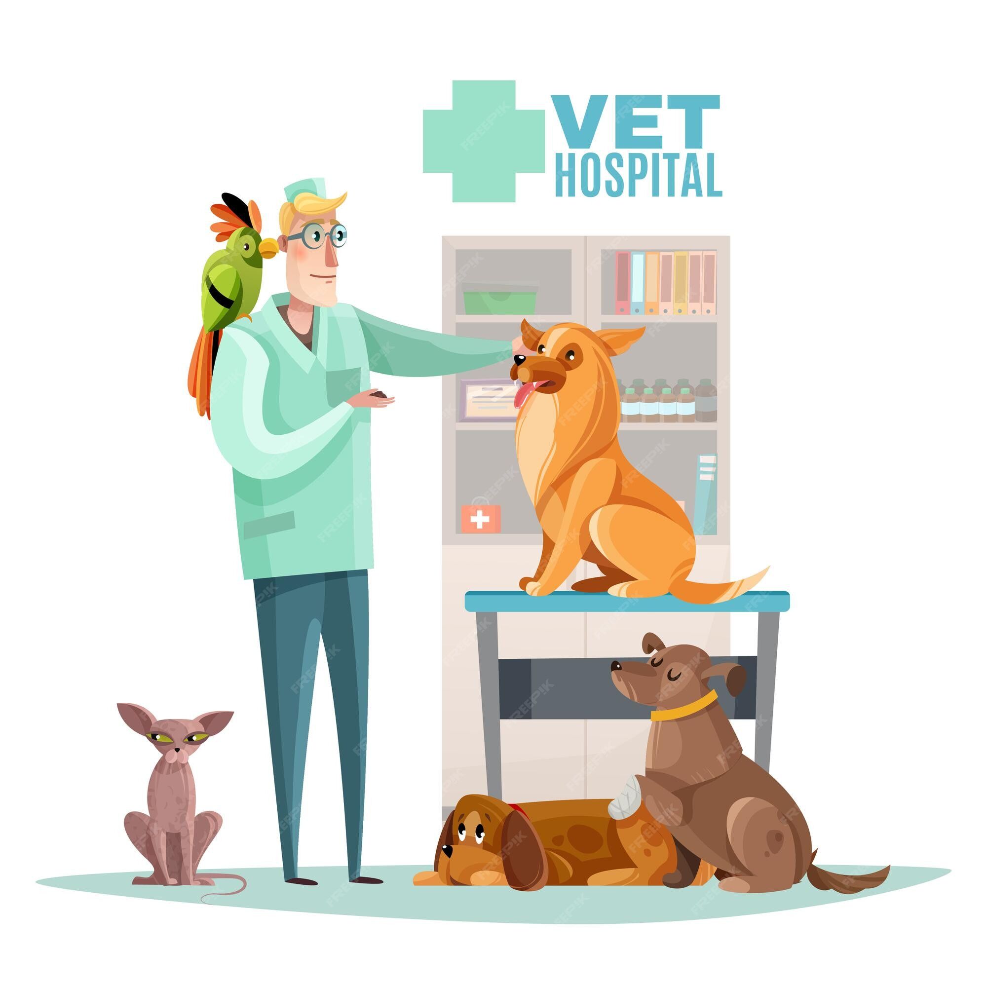 How to become a Veterinary Doctor - Educational Guide