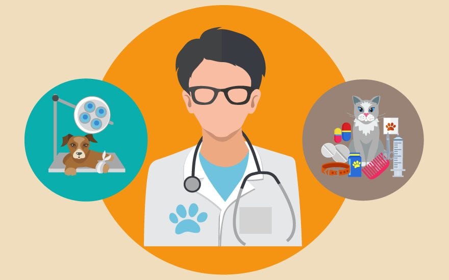 How to become a Veterinary Doctor - Educational Guide